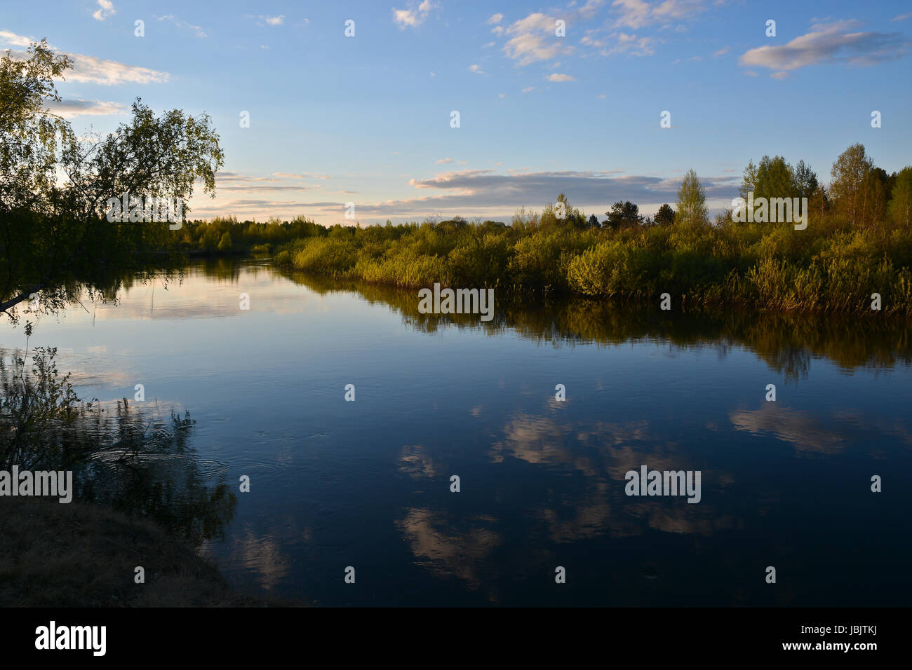 A quiet spring evening on the forest river. May water landscape in the ...