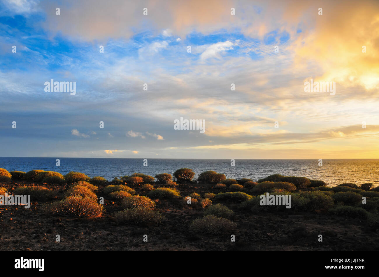 482a hi-res stock photography and images - Alamy