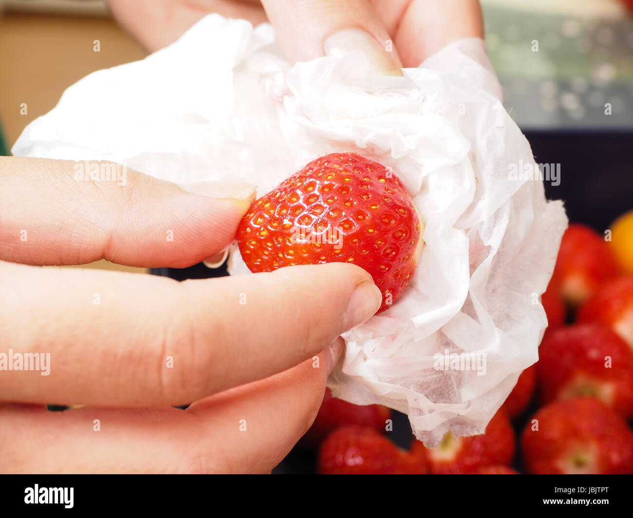 Female person drying up a washed strawberry with white household paper ...