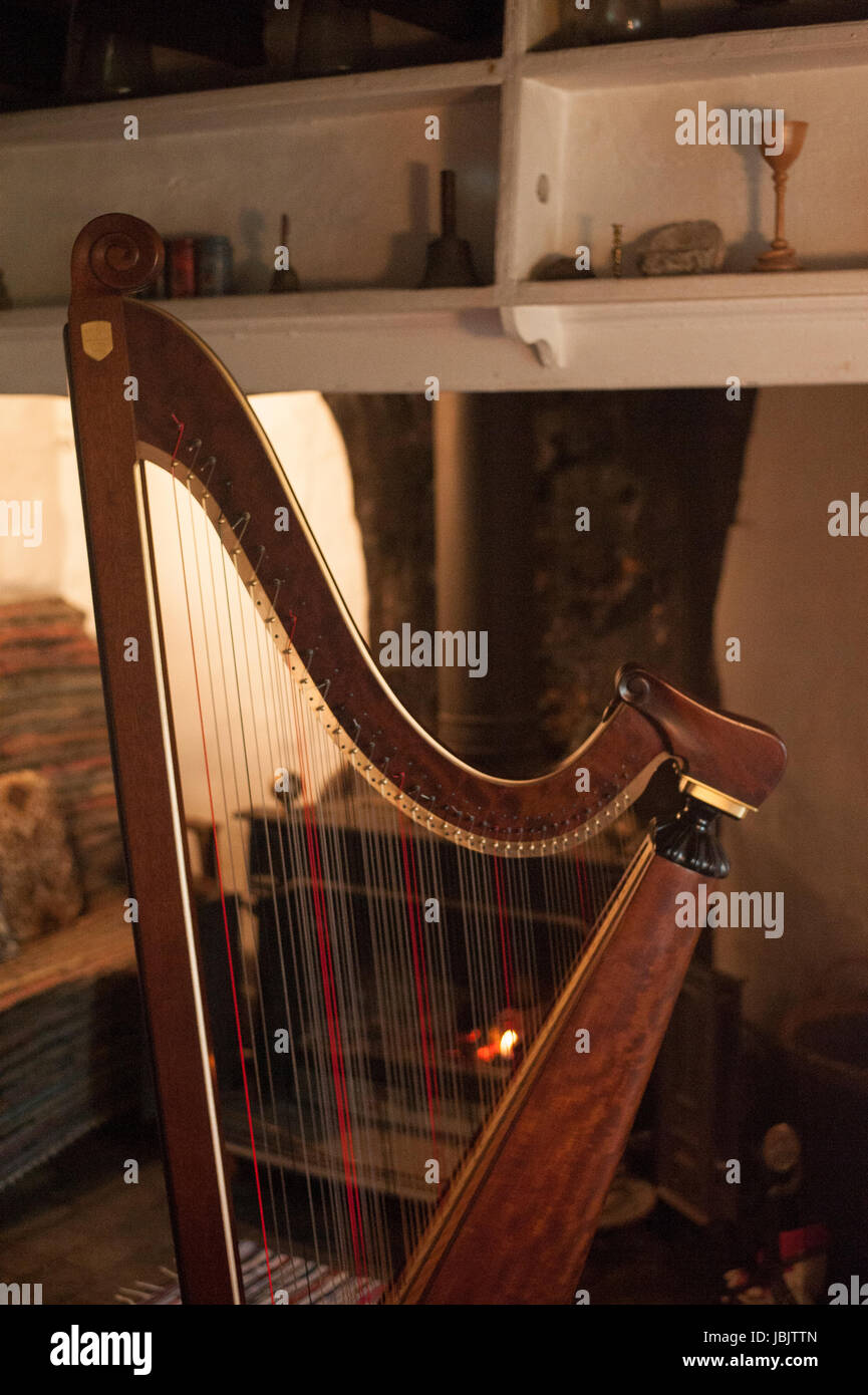 one of 16 pictures of the welsh Triple Harp taken in natural light at a ...