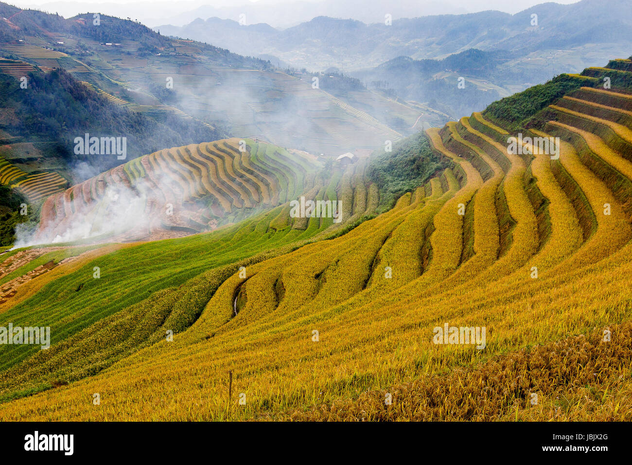 Viet Nam Mu Cang Chai terraced rice fields on harvest season or golden ...