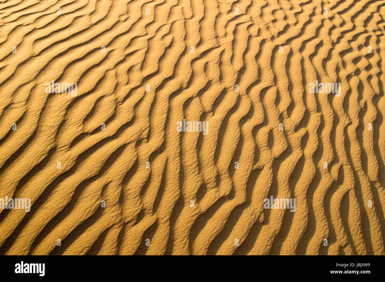 Gold desert into the sunset. Sand texture Stock Photo - Alamy