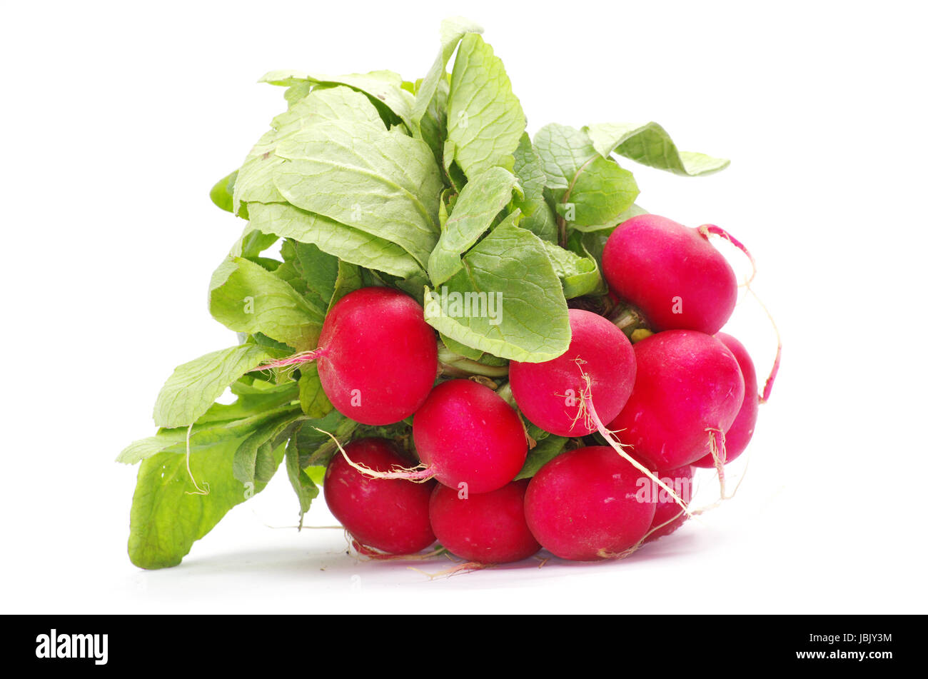 Fresh radishes on a white background Stock Photo - Alamy