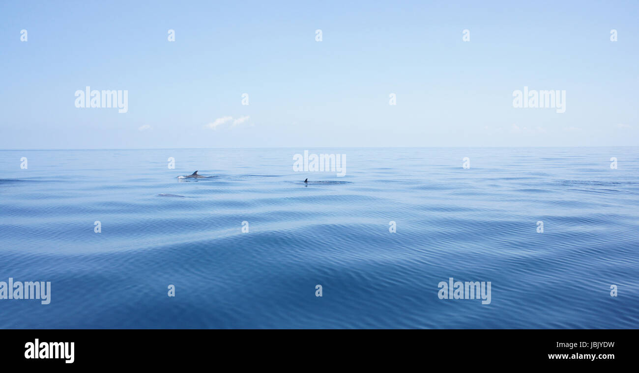 deep blue ocean Stock Photo - Alamy