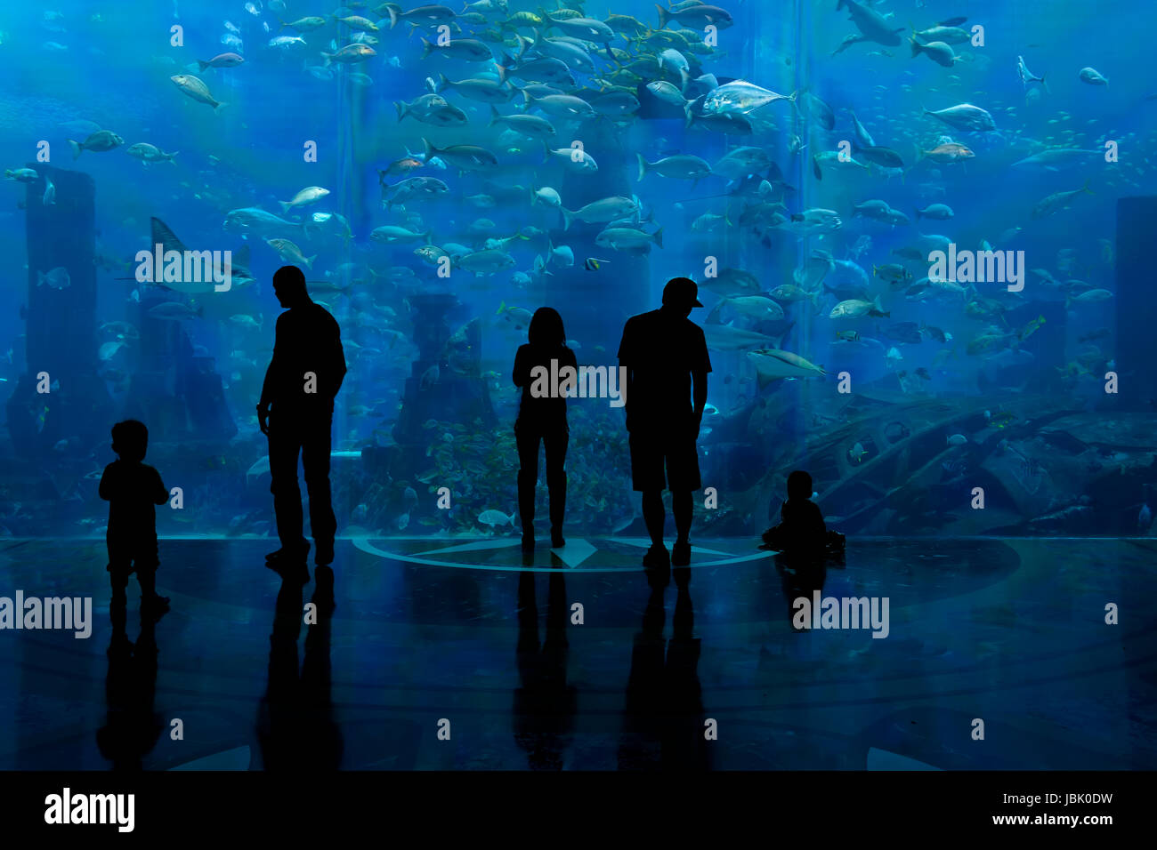 people from an aquarium Stock Photo - Alamy