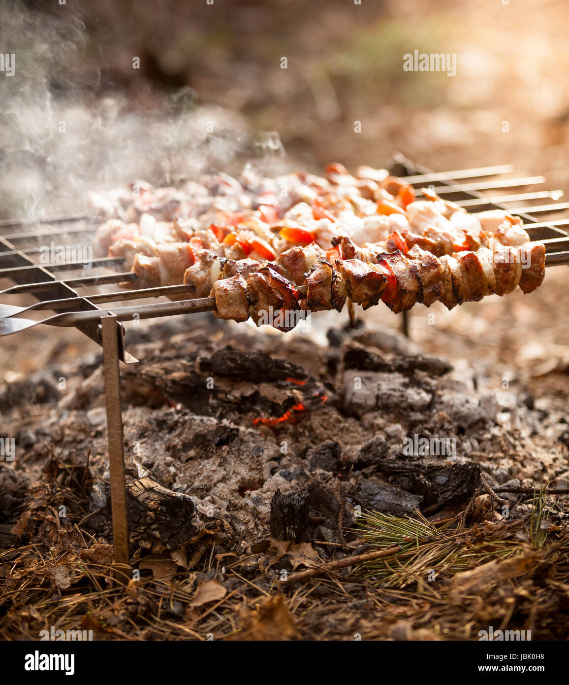 Closeup photo of kebab on fire at forest Stock Photo - Alamy