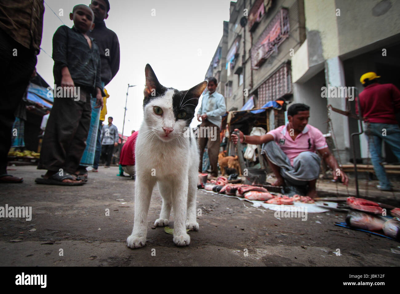 India, Kumba Mela Stock Photo - Alamy