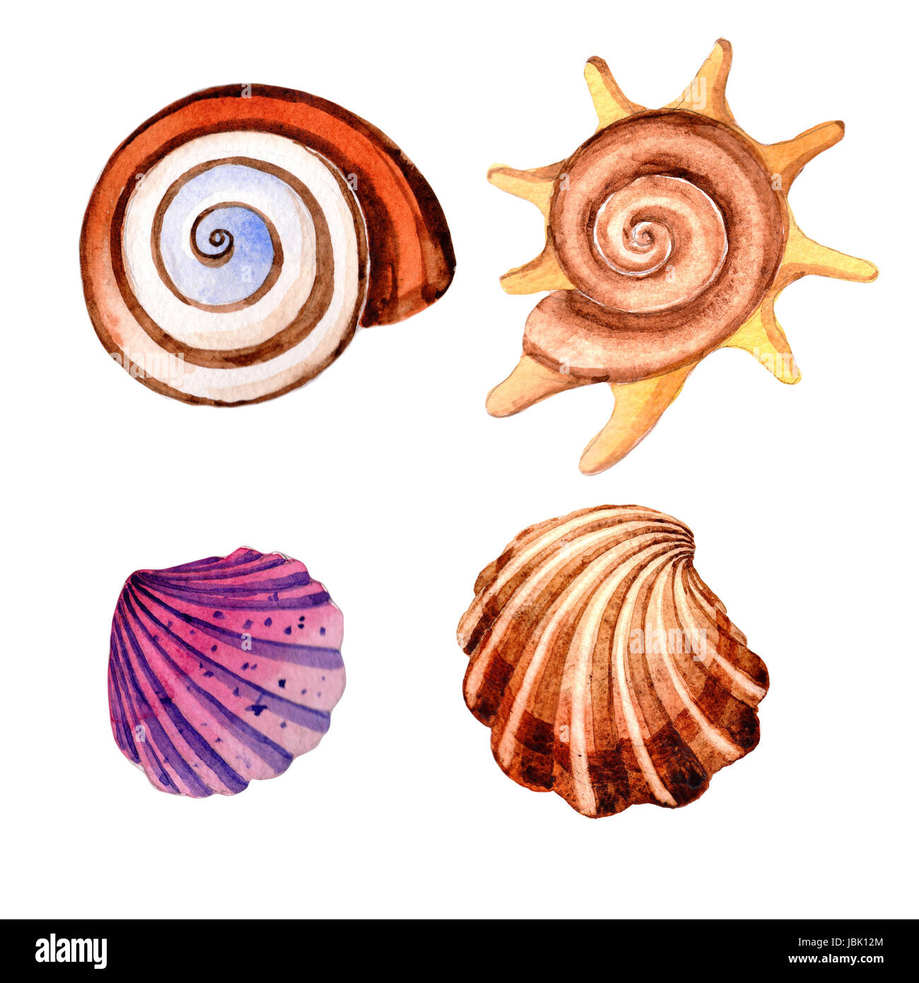 Watercolor summer beach seashell tropical elements. Underwater ...