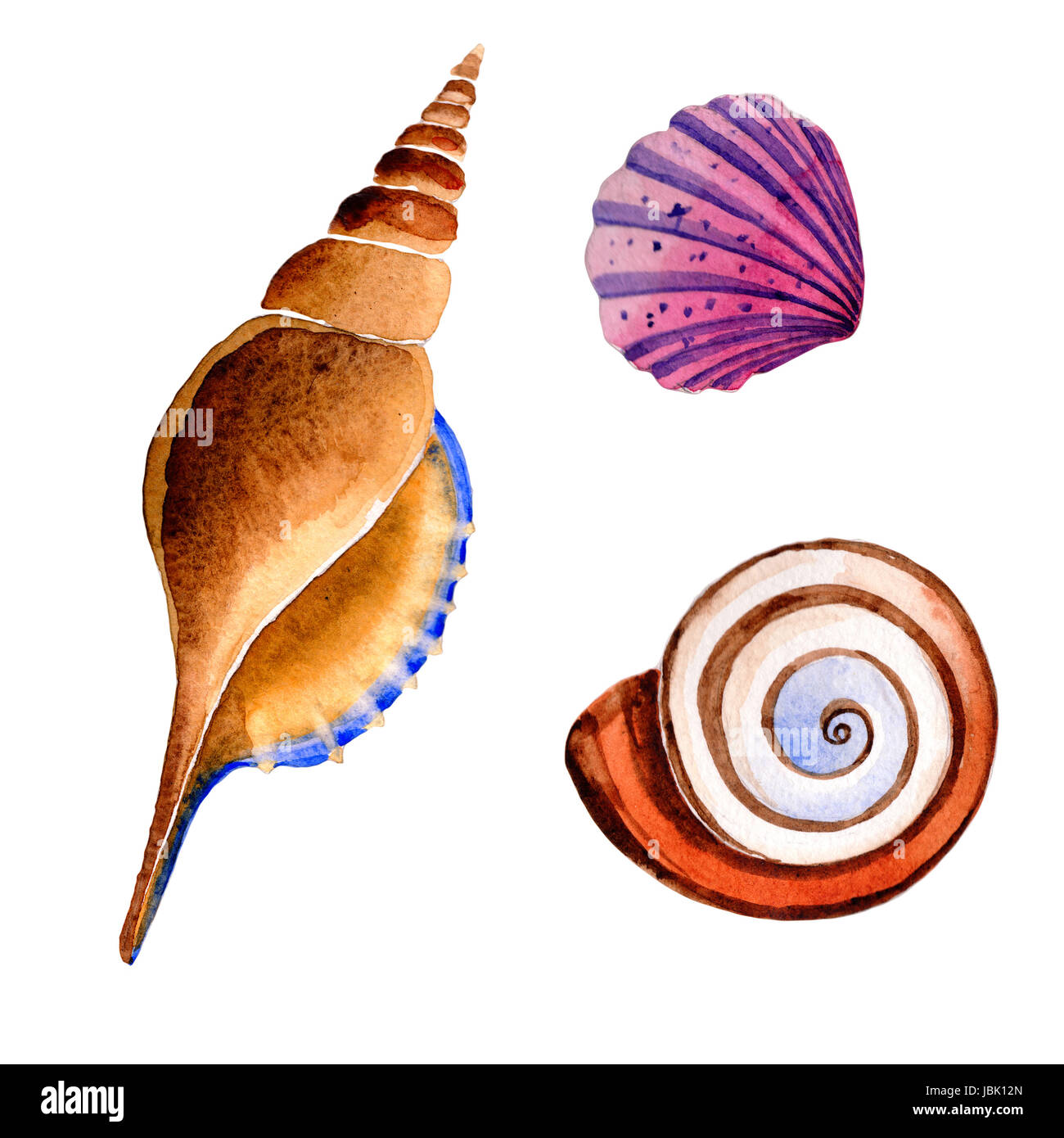 Watercolor summer beach seashell tropical elements. Underwater ...