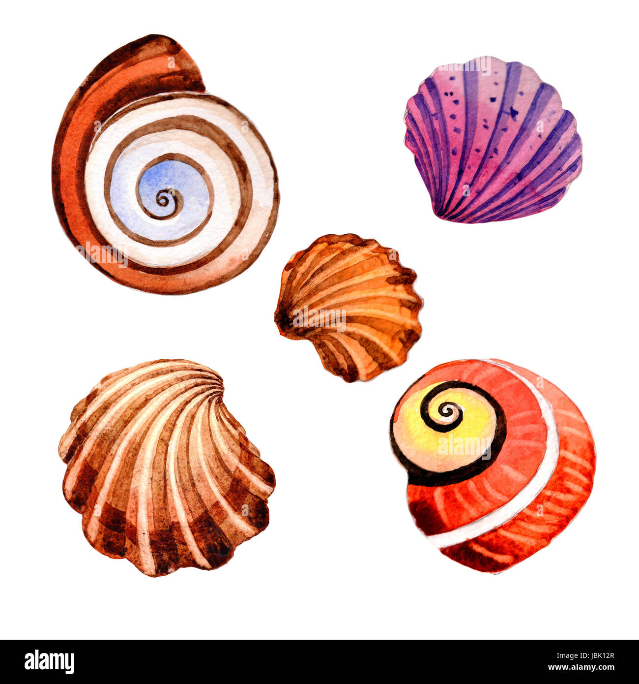 Watercolor summer beach seashell tropical elements. Underwater ...