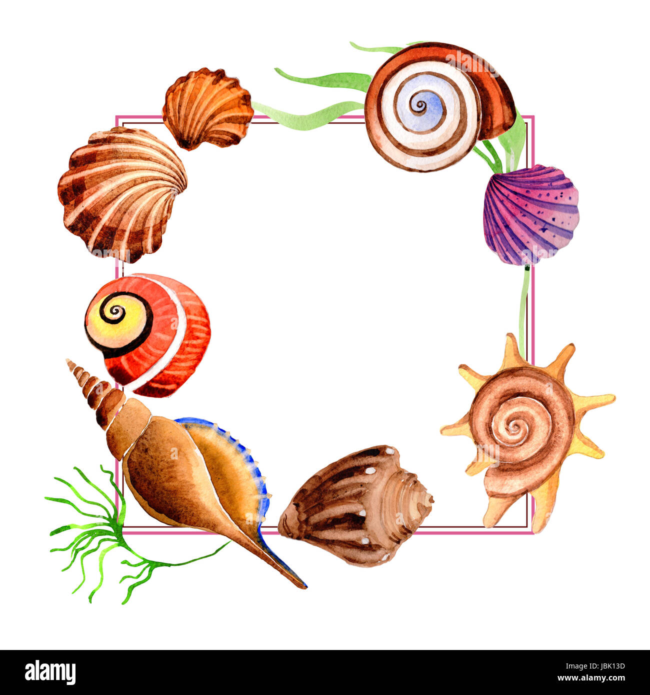 Seashells Clipart Border