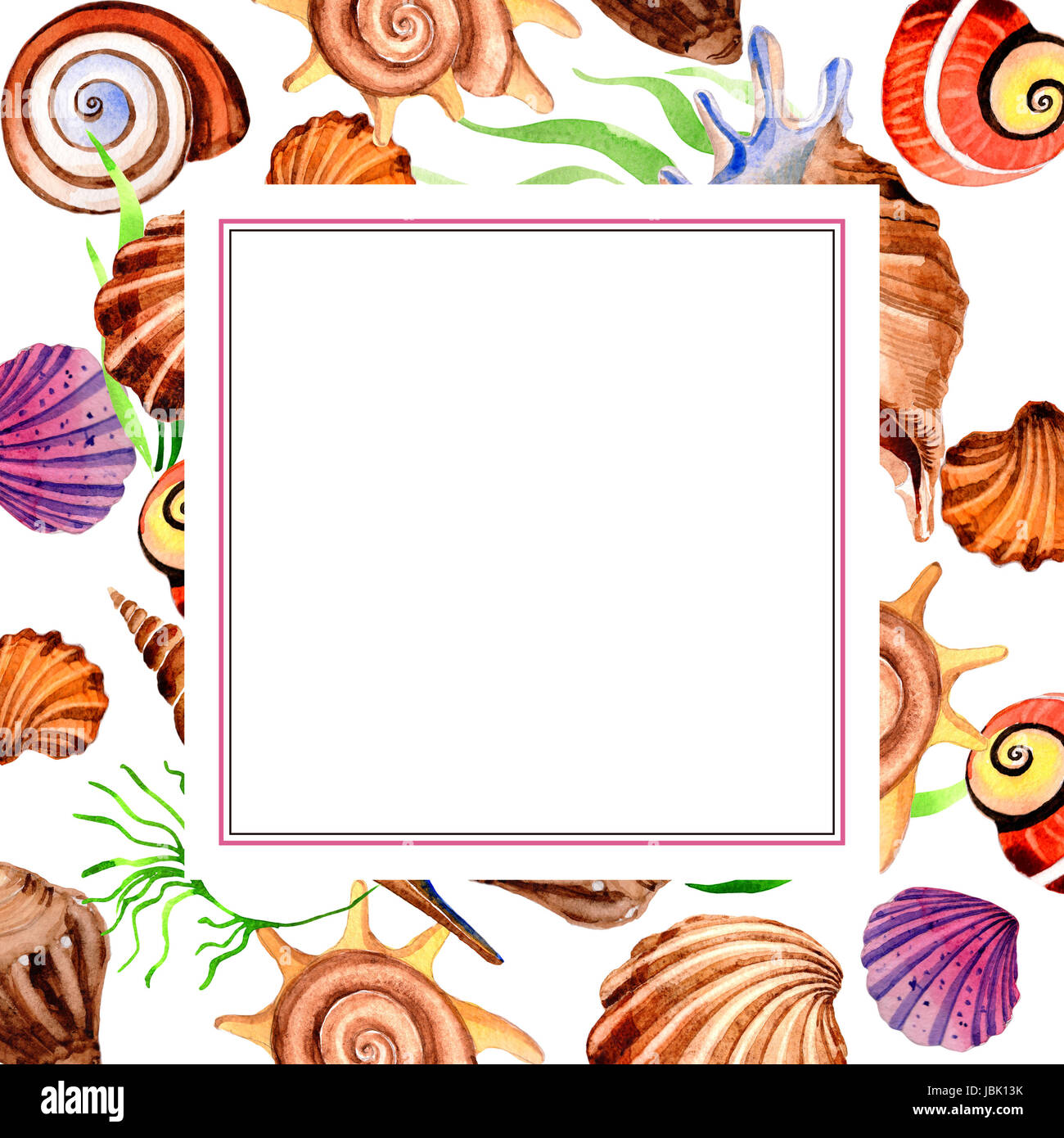 Watercolor summer beach seashell tropical elements frame. Underwater ...