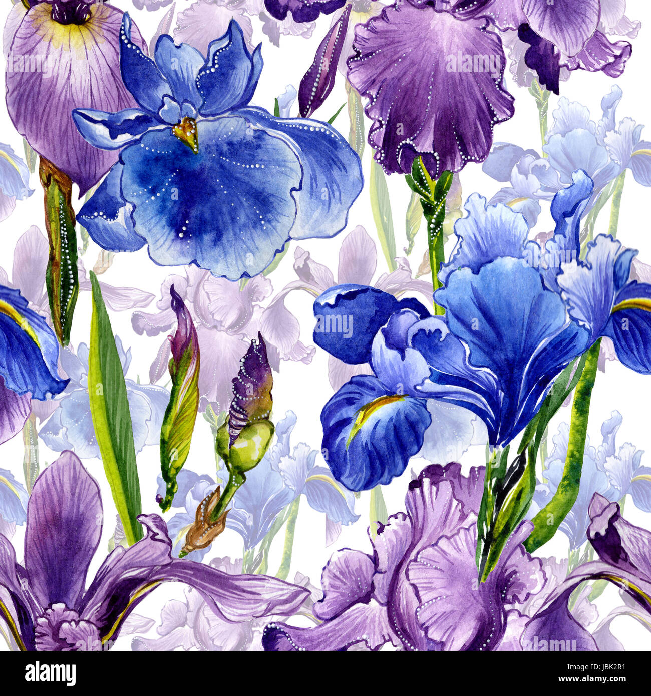 Wildflower iris flower pattern in a watercolor style isolated. Full ...