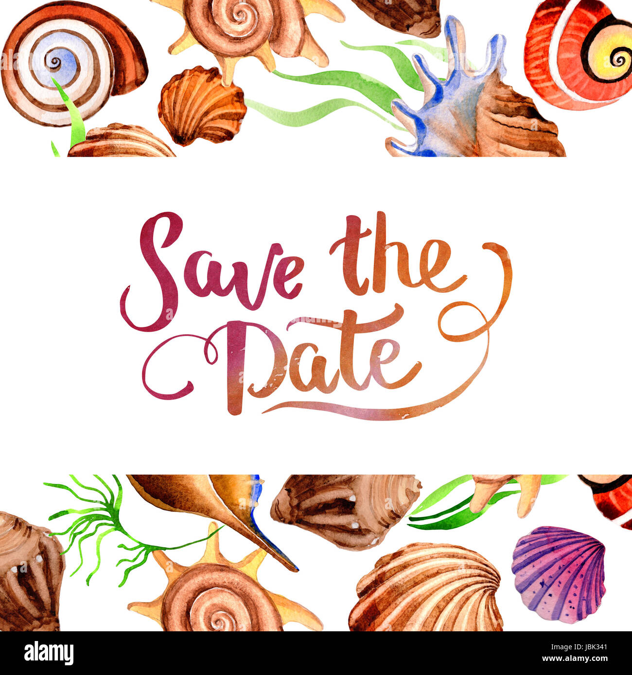 Watercolor summer beach seashell tropical elements frame. Underwater ...