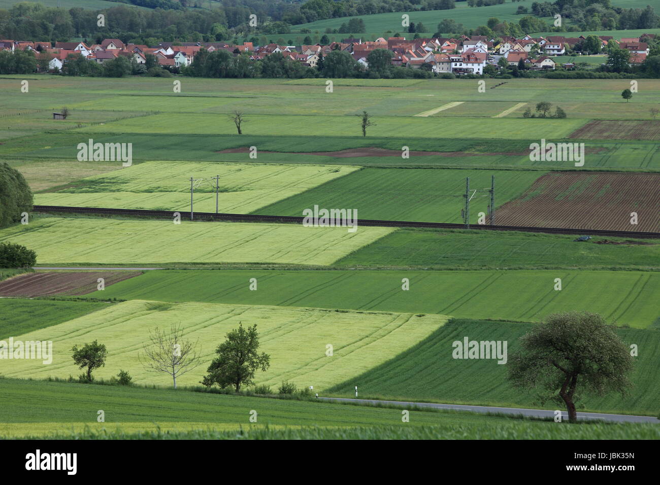 grain fields germany Stock Photo - Alamy