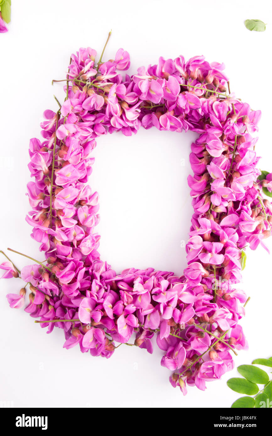 close up of sophora flower as frame isolated on white background Stock ...