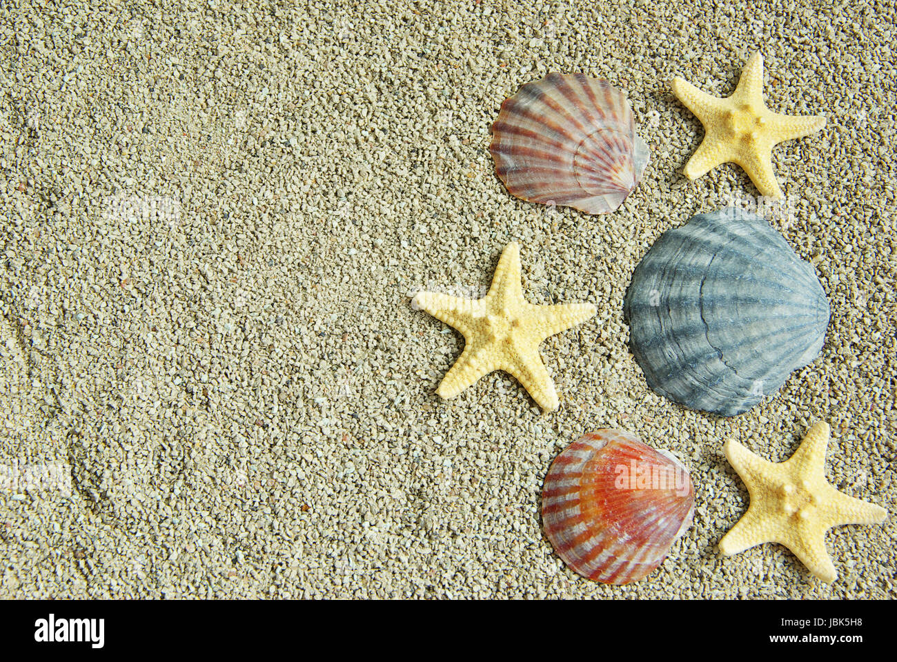 starfish and shells on the beach Stock Photo - Alamy