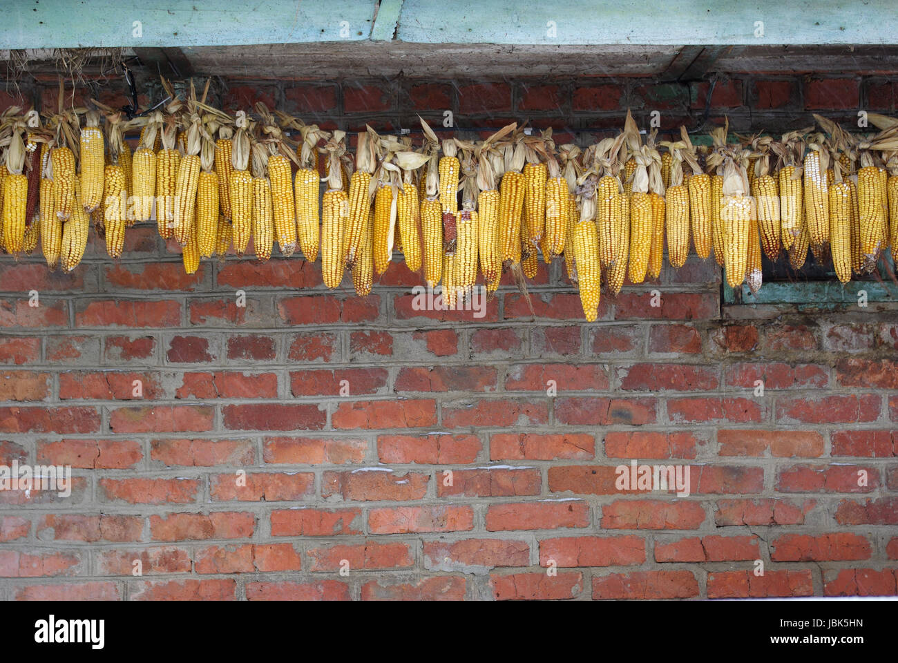 piles of corn on the walls Stock Photo - Alamy
