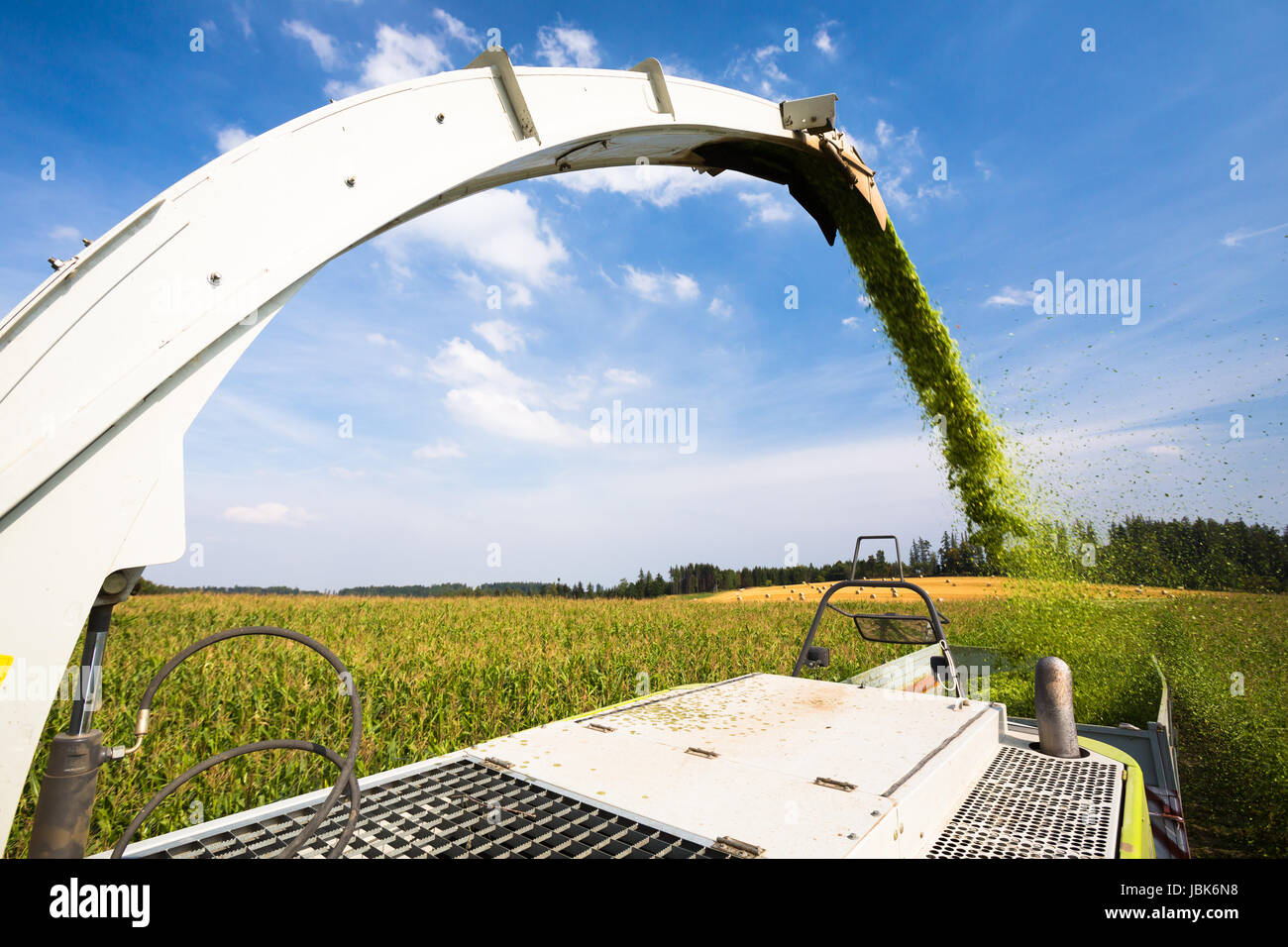 Modern combine harvester unloading green corn into the trucks Stock ...