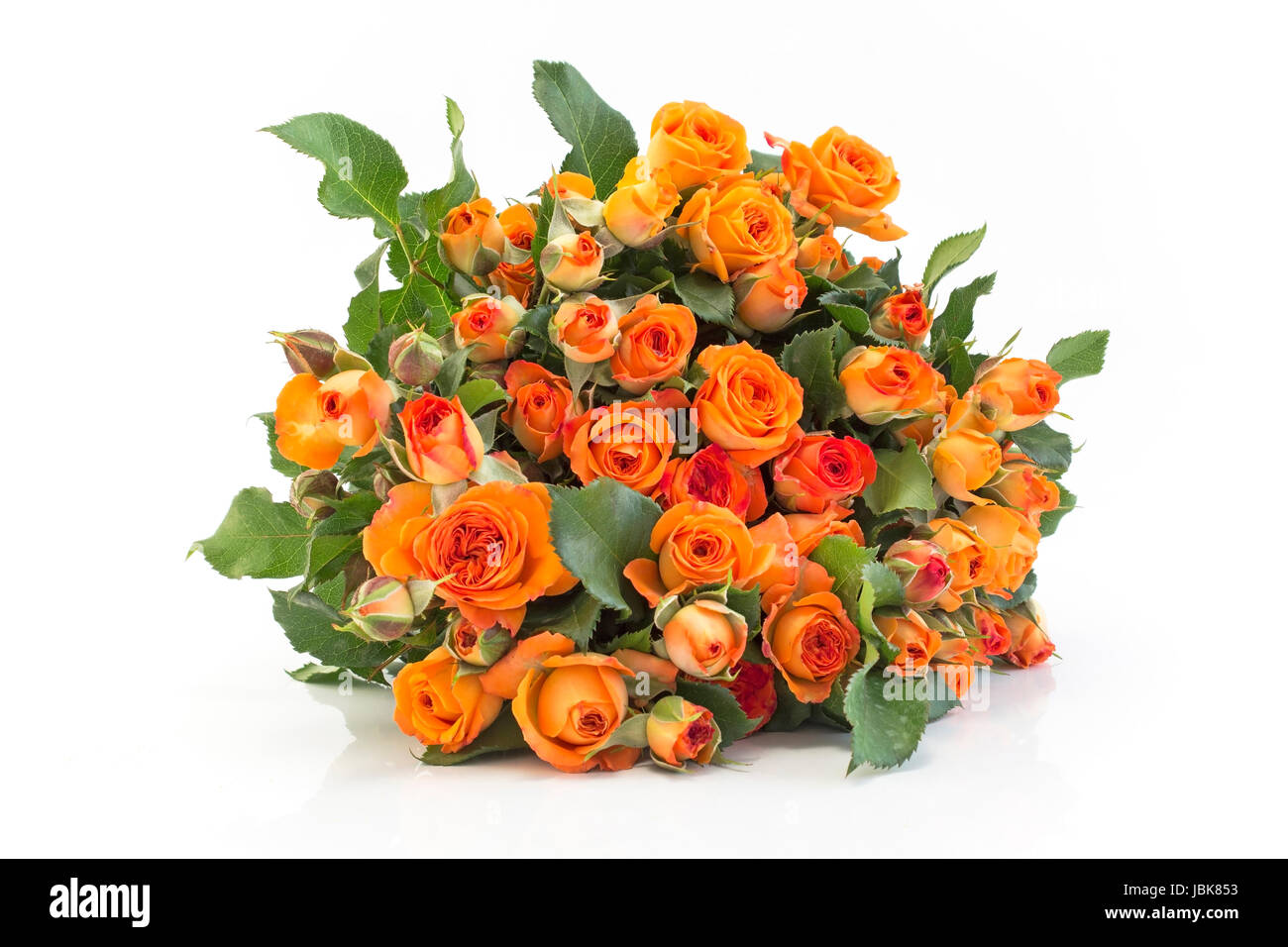 Bouquet of Orange Roses Isolated on White Stock Photo - Alamy