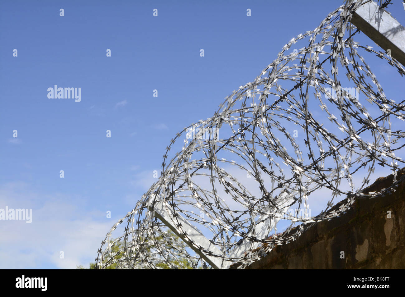 barbed wire on a wall as protection against burglars Stock Photo - Alamy