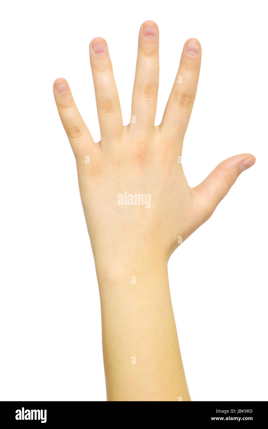 hand isolated on a white Stock Photo - Alamy