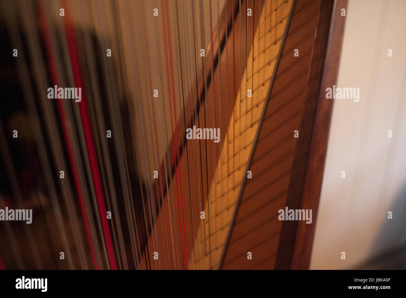 one of 16 pictures of the welsh Triple Harp taken in natural light at a ...