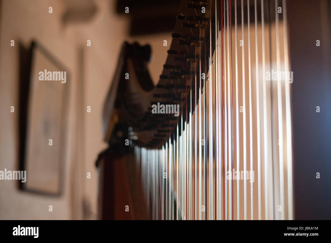 one of 16 pictures of the welsh Triple Harp taken in natural light at a ...