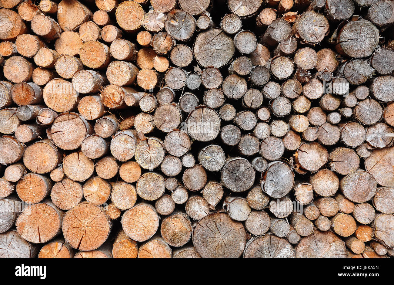 Fichtenholz High Resolution Stock Photography and Images - Alamy