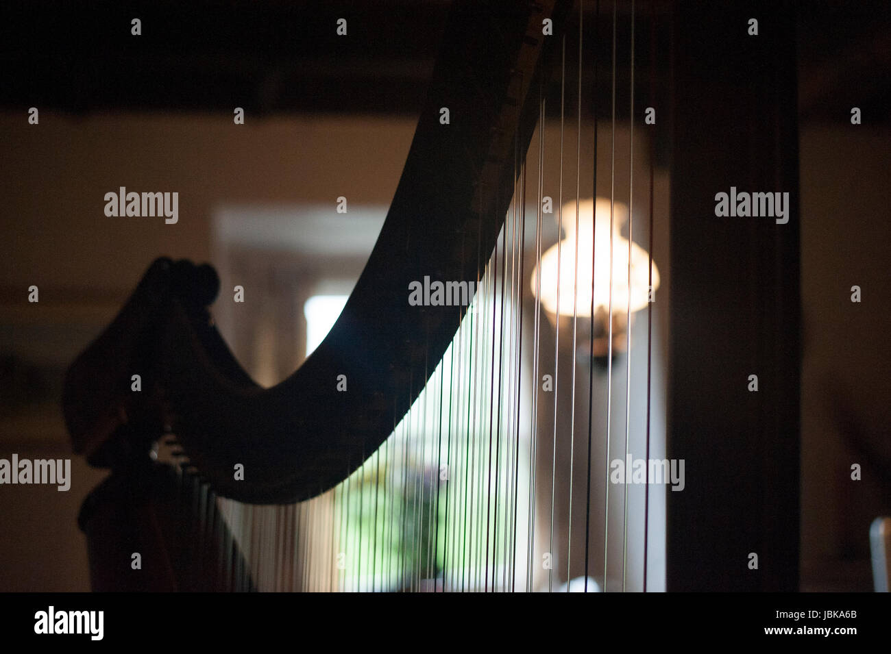 one of 16 pictures of the welsh Triple Harp taken in natural light at a ...