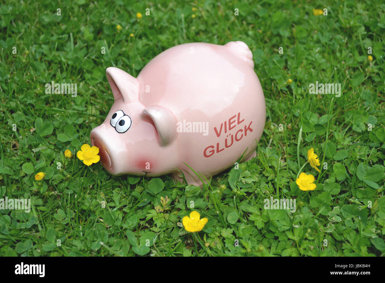 pink pig trial Stock Photo - Alamy