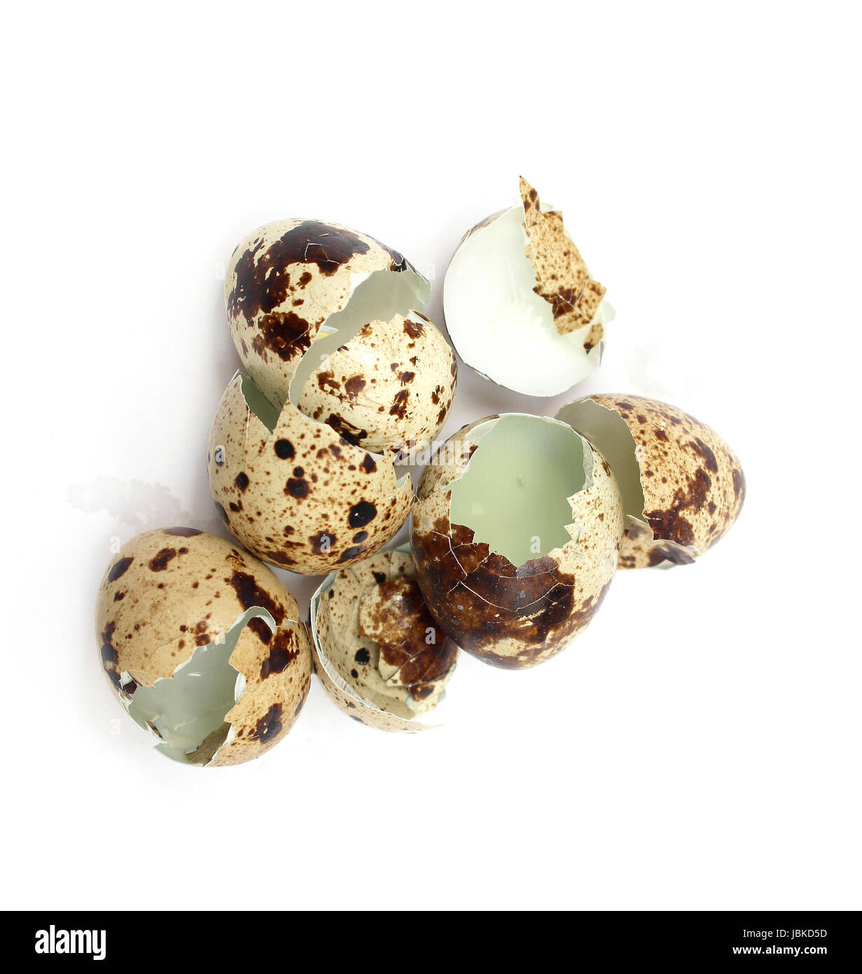 Bunch of broken empty quail egg shells Stock Photo - Alamy