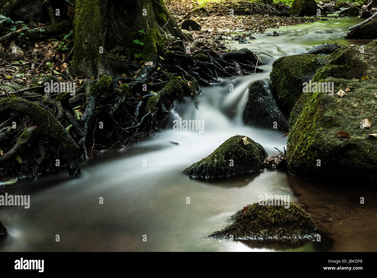 the flow of water in a creek Stock Photo - Alamy