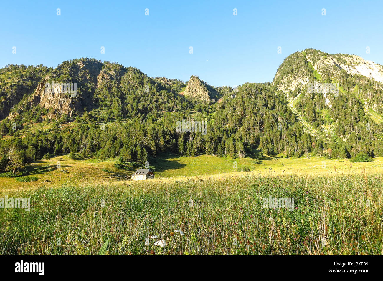 Panoramic of Aran valley in the Catalan Pyrenees, Spain Stock Photo - Alamy