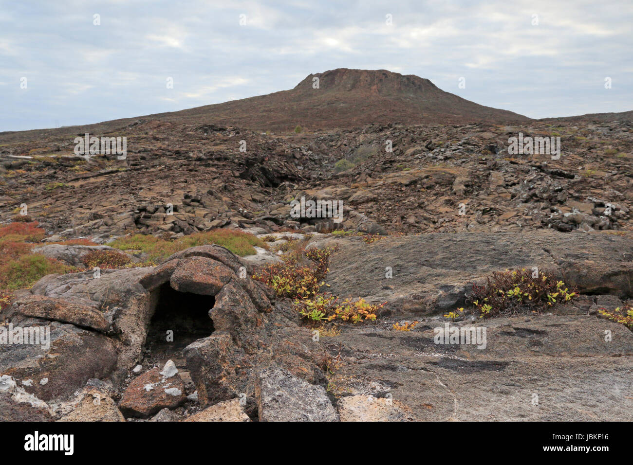 Galapagos island scenery hi-res stock photography and images - Alamy