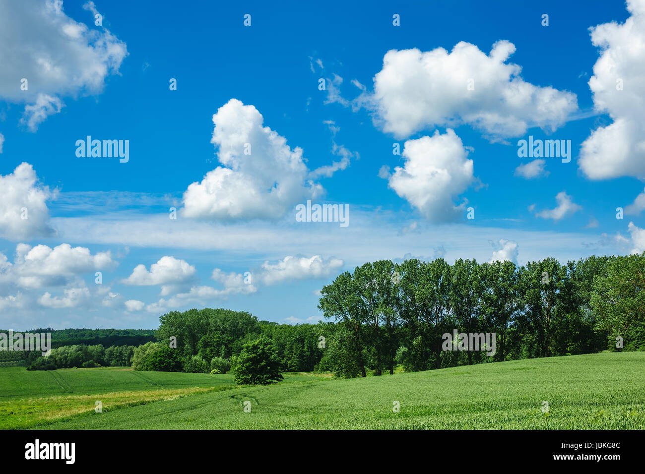 Landscape with trees and clouds in the sky Stock Photo - Alamy