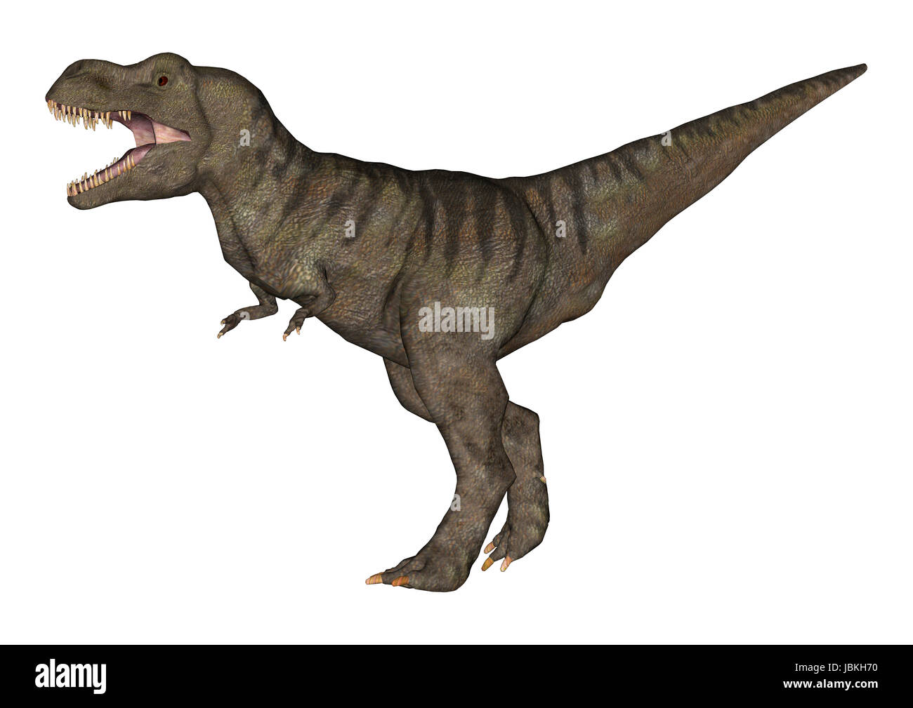 3D digital render of a Tyrannosaurus Rex isolated on white background ...