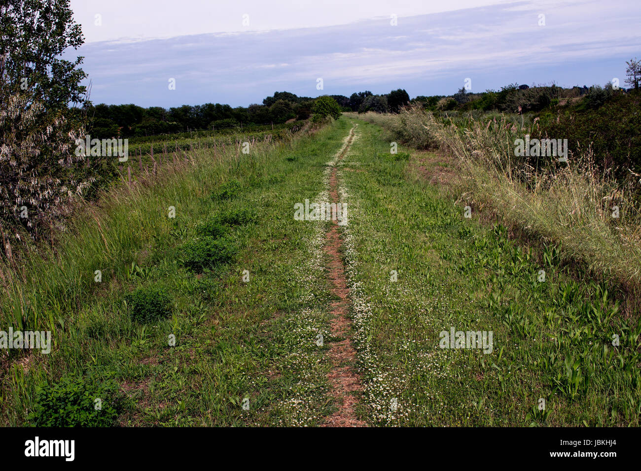 Walking road in the countryside in Italy Stock Photo - Alamy