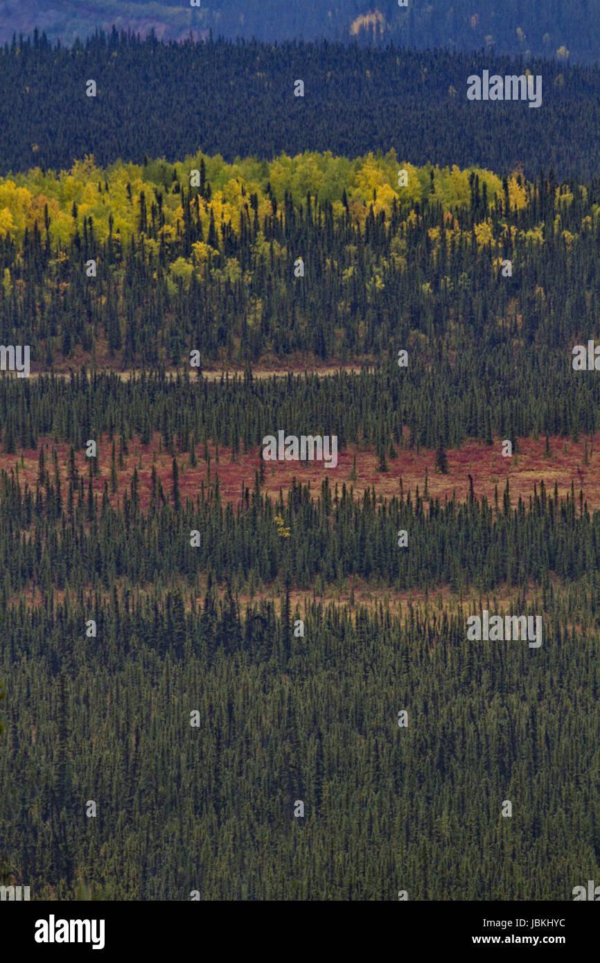 The Tok Cutoff Highway, part of the Glenn Highway, is beautiful with ...