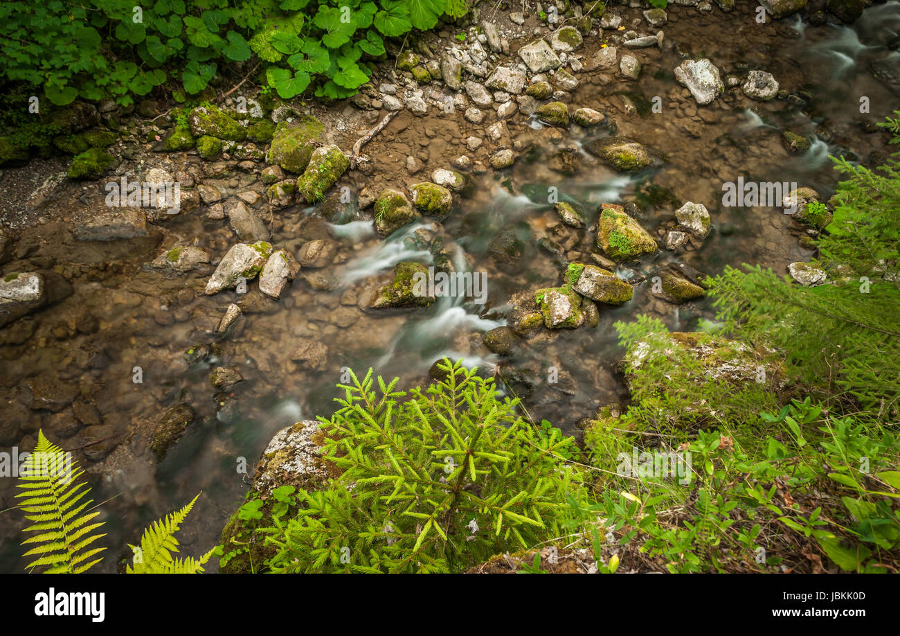 creek, rocks and vegetation in Prosiecka valley, Slovakia Stock Photo ...
