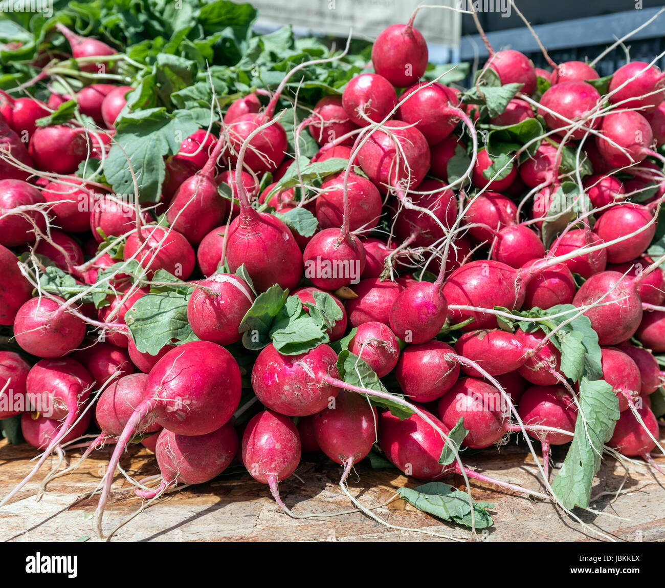 Bunch of Radishes, close up Stock Photo - Alamy