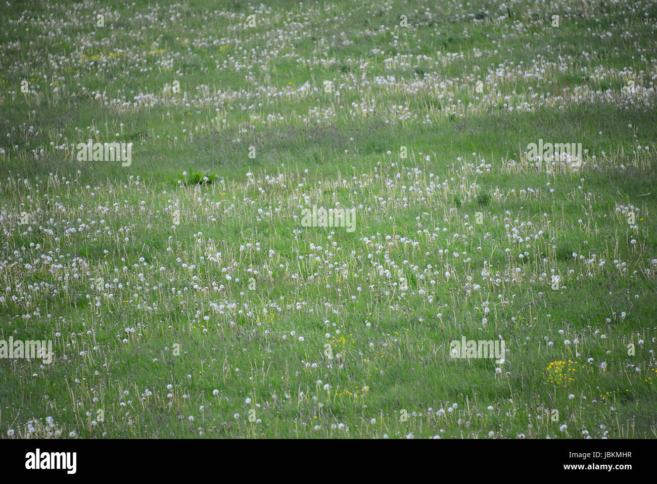 Puste hi-res stock photography and images - Alamy