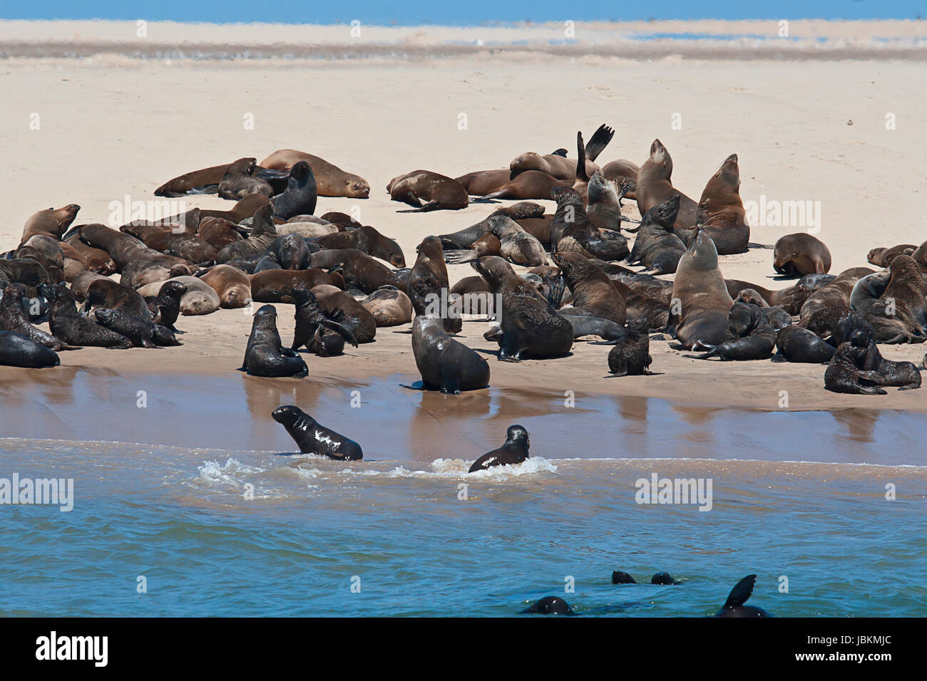 Pelican point namibia desert hi-res stock photography and images - Alamy