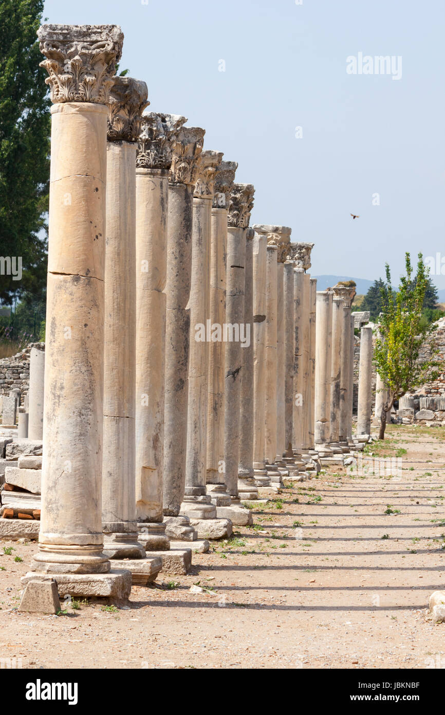 Columns in the ancient greek and later roman city of Ephesus in the ...