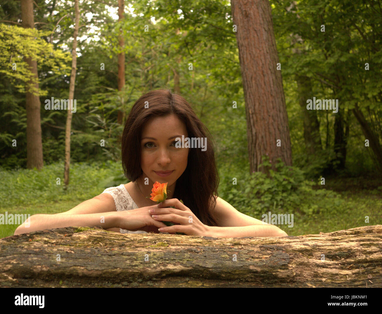 romance in the wald Stock Photo - Alamy