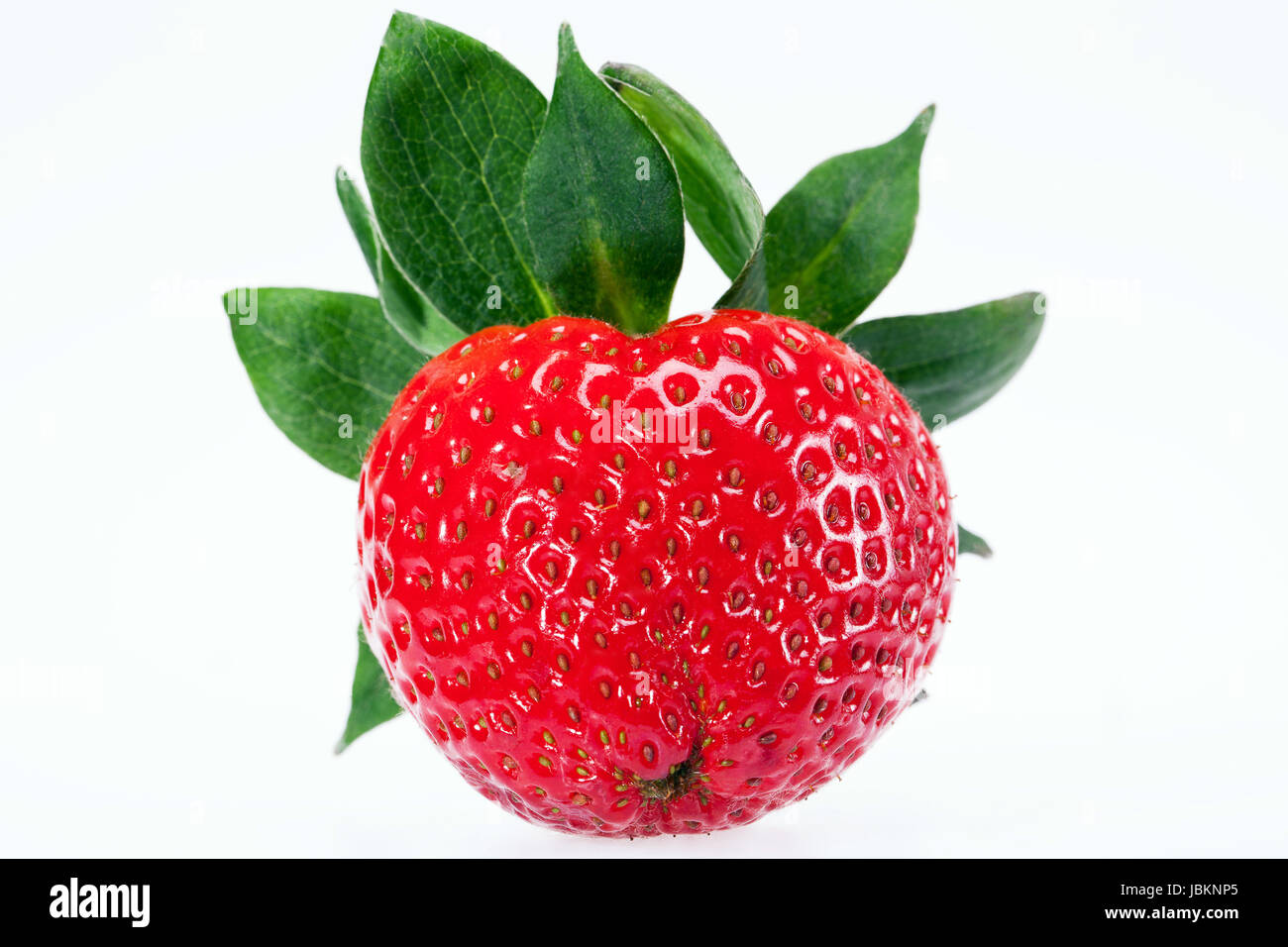 single fruit of red strawberry isolated on white background Stock Photo ...