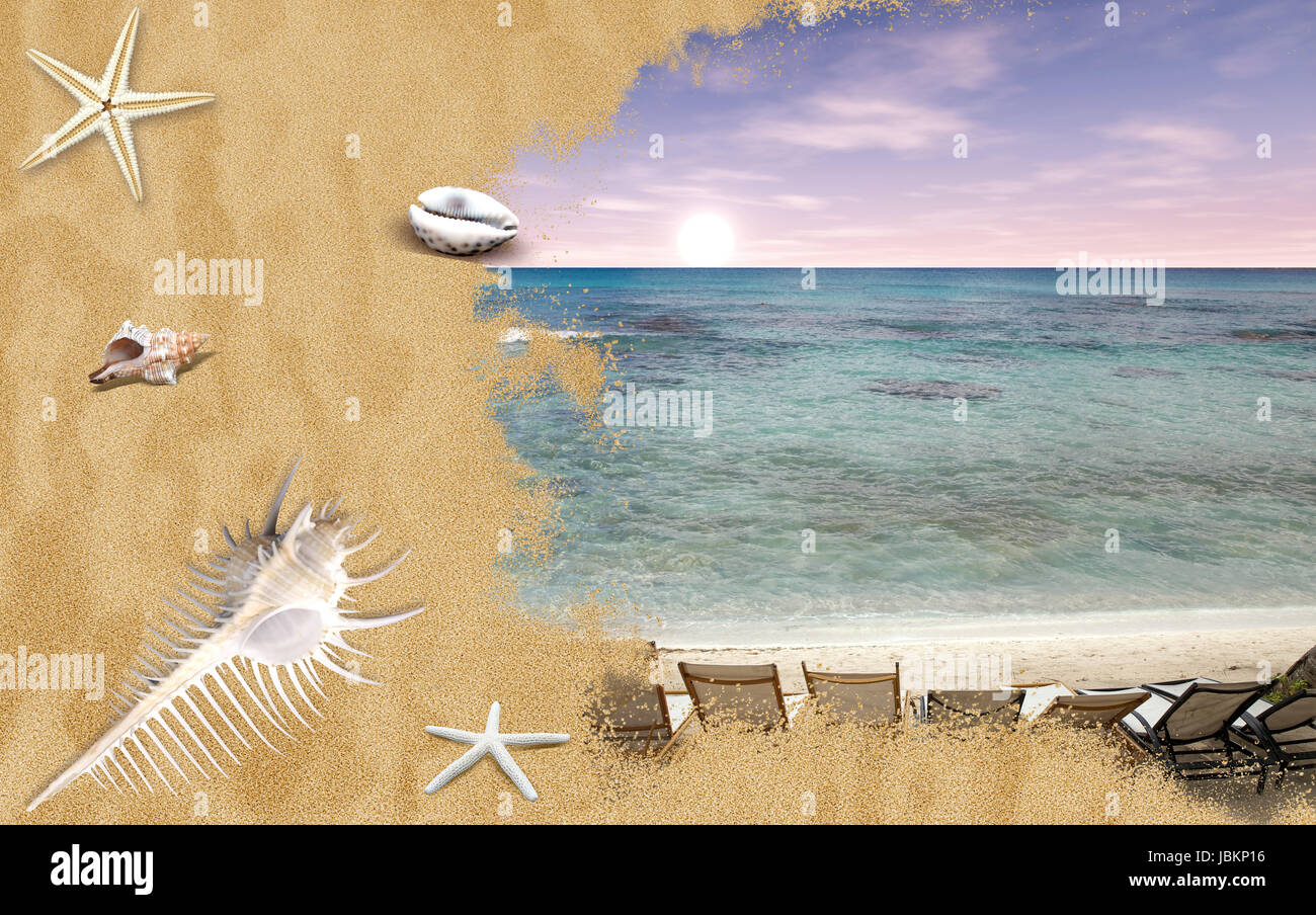 Shells on the sand and tropical beach at the sunrise Stock Photo - Alamy