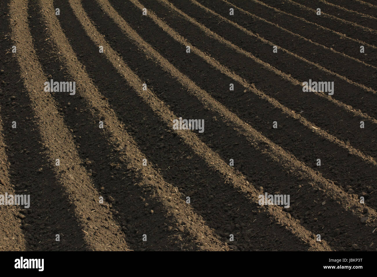 Potato and soil texture hi-res stock photography and images - Alamy