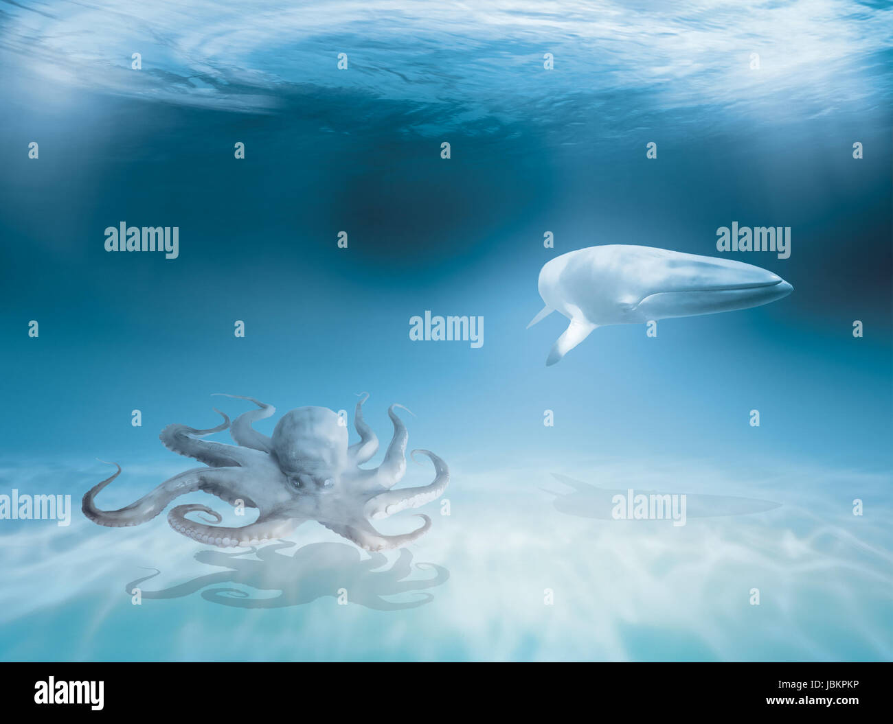 Underwater: octopus and whale in the blue shallow water Stock Photo - Alamy