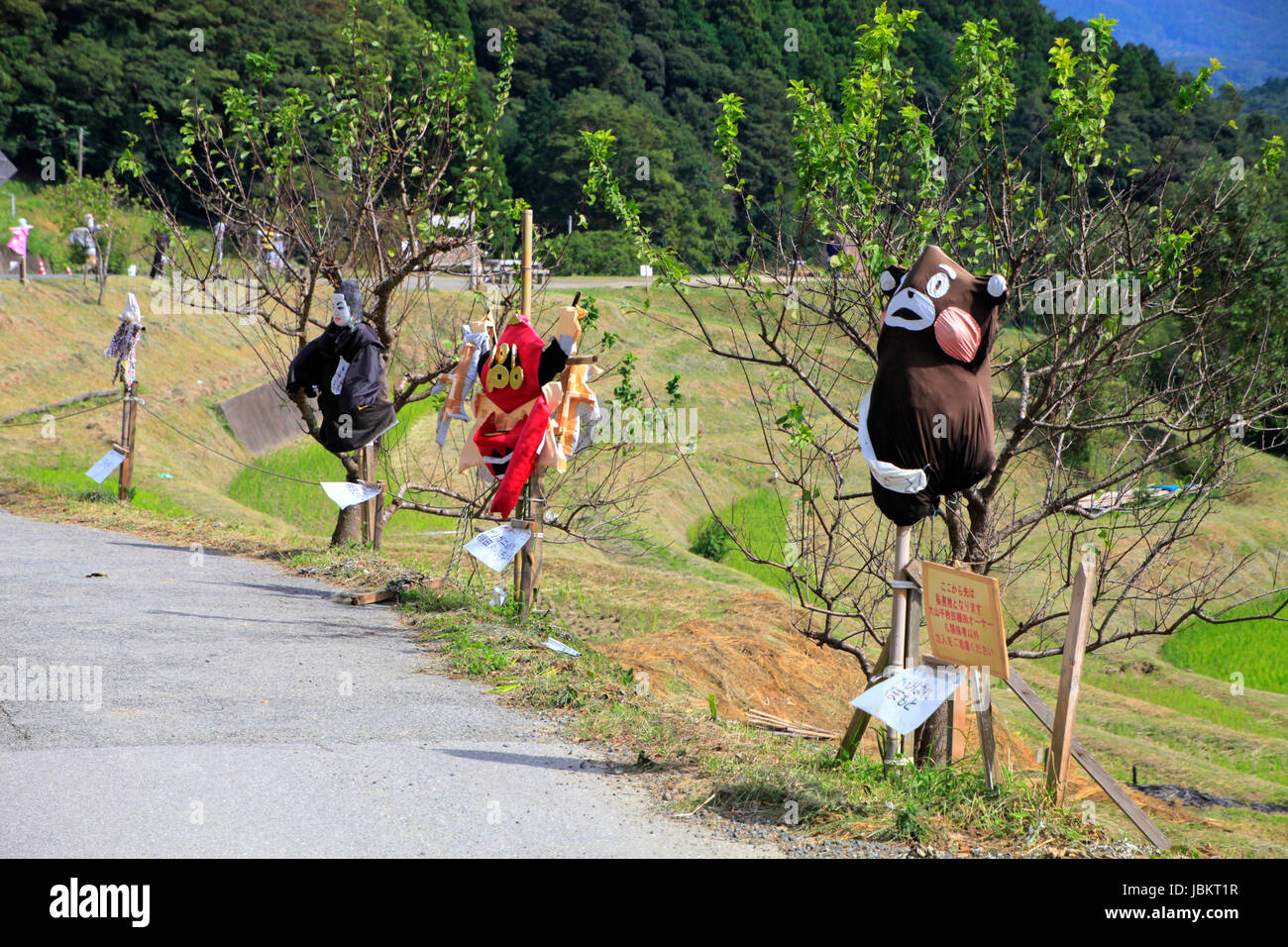 Oyama-Senmaida Terraced Rice Field Kamogawa city Chiba Japan Stock ...